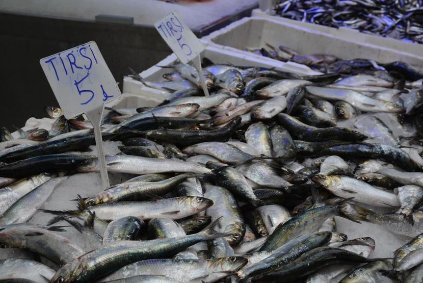 Karadeniz'de tirsi bolluğu: Fiyatı düştü - CNN Türk Haberler Son Dakika