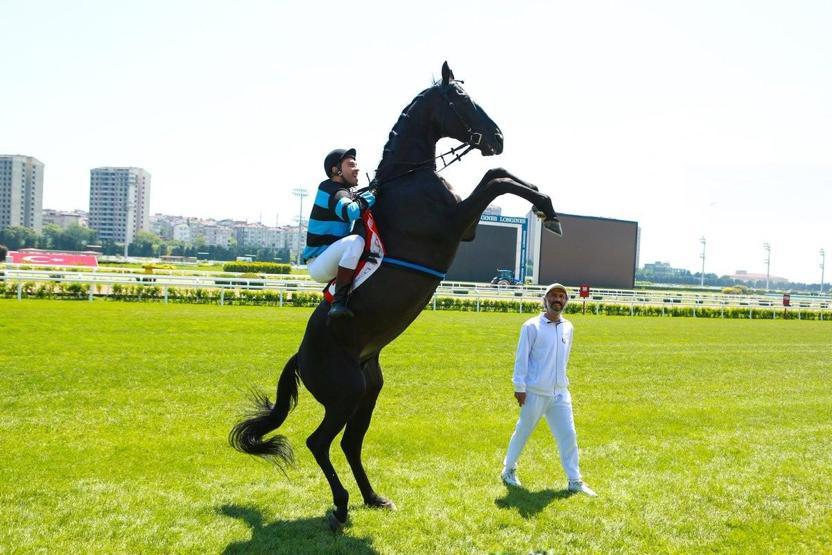 'Bold Pilot' gişede tam not aldı - Kültür Sanat Haberleri