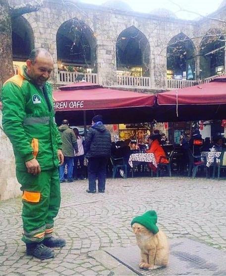 Kediye bere takan işçi fenomen oldu - Günün Haberleri