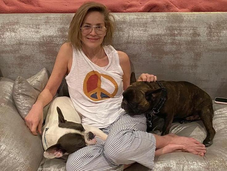 Sharon Stone: Bir yönetmen, rol arkadaşımla birlikte olmamı istedi ...