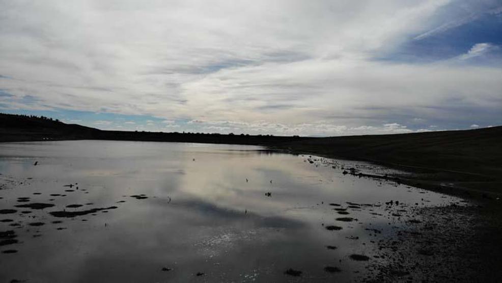 Angut kuşlarının kartpostalları aratmayan görüntüleri - Gazete Haberleri