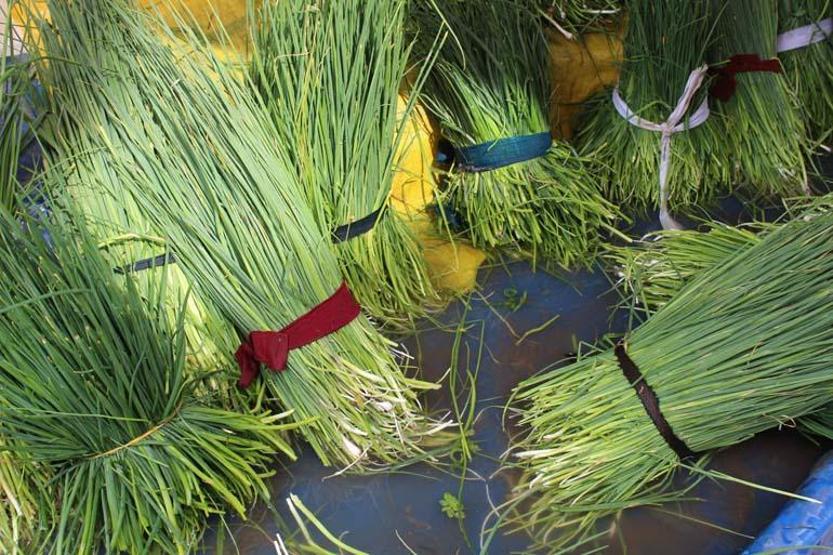 Yoğun talep var! Peynir yapımında kullanılan 'Sirik otu tezgahlarda ...