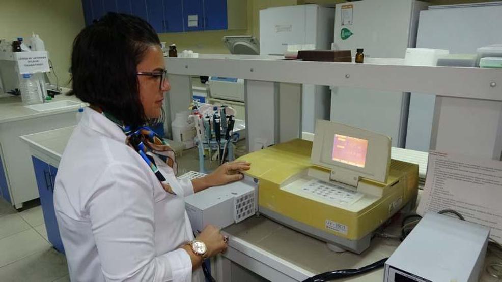 Alzheimer tedavisinde yeni etken madde keşfi! - Sağlık Haberleri