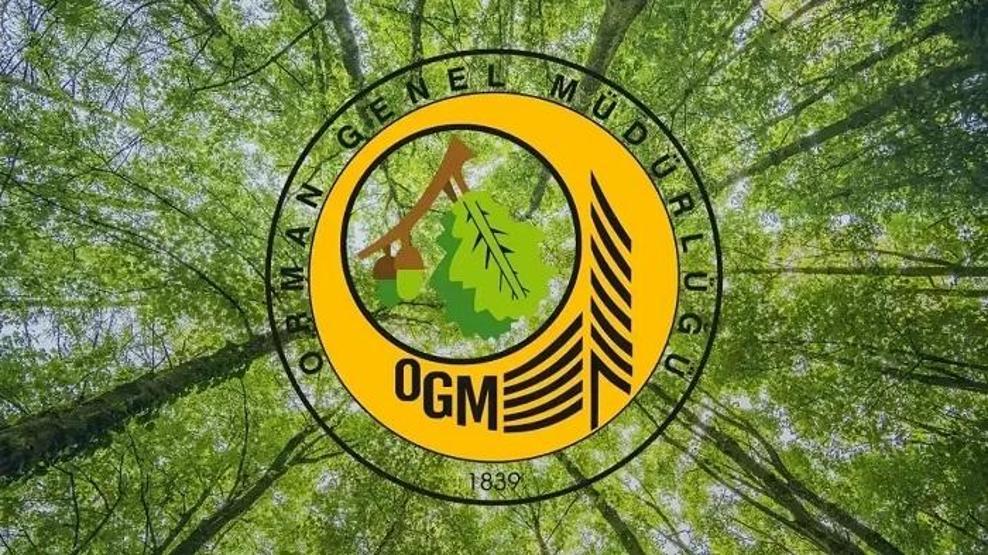 ORMAN GENEL MÜDÜRLÜĞÜ PERSONEL ALIMI 2025: Başvuru tarihleri, şartları ...
