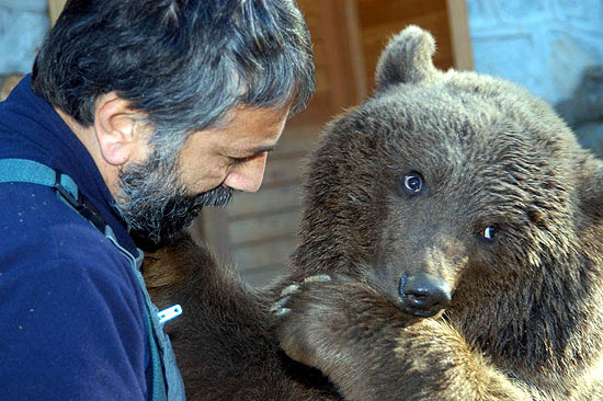 Ayı Datvi'nin hüzünlü hikayesi... - CNN Türk Sondakika Haberler