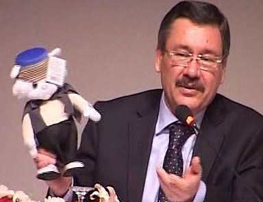 Misket oynayan kedi oyuncak oldu