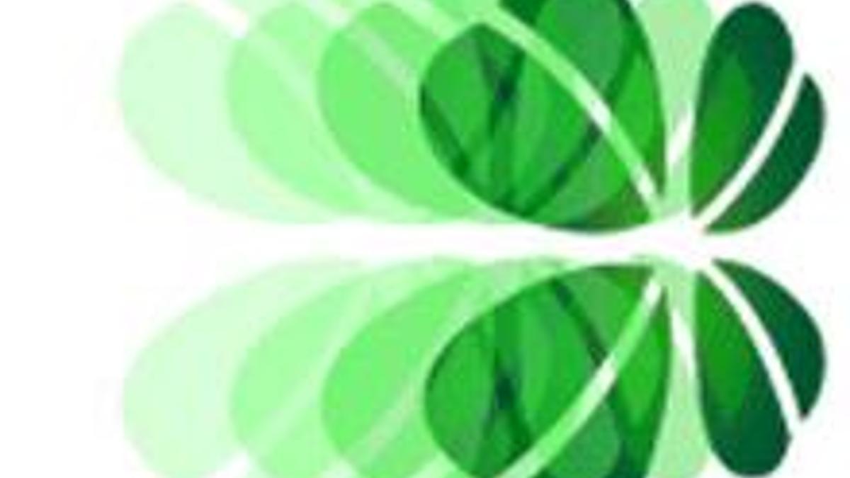 GE Consumer Finance, Garanti'ye ortak - Şirket