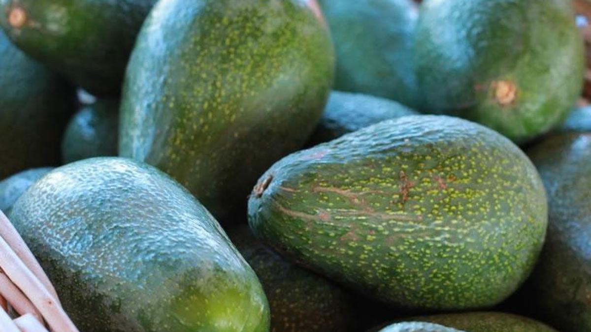 Tanesi 10 liradan 3 liraya düştü - Son Dakika Ekonomi Haberleri