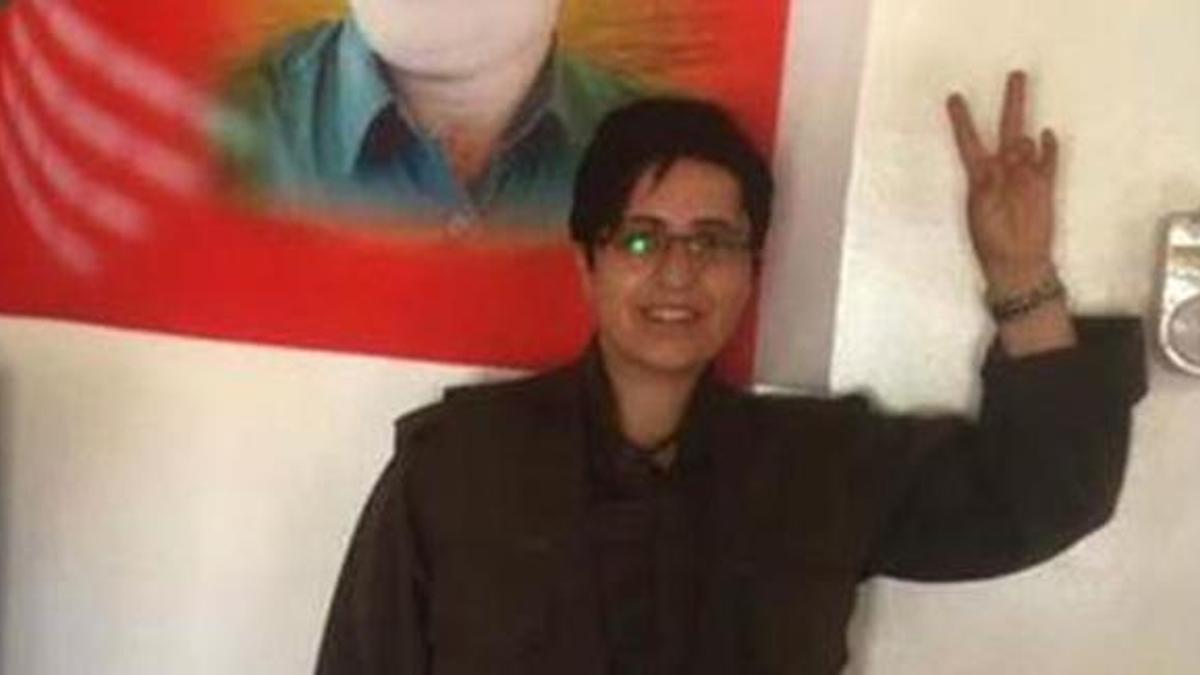 Batman Cumhuriyet Başsavcılığı'ndan Devlet Aslan açıklaması - CNN TÜRK ...