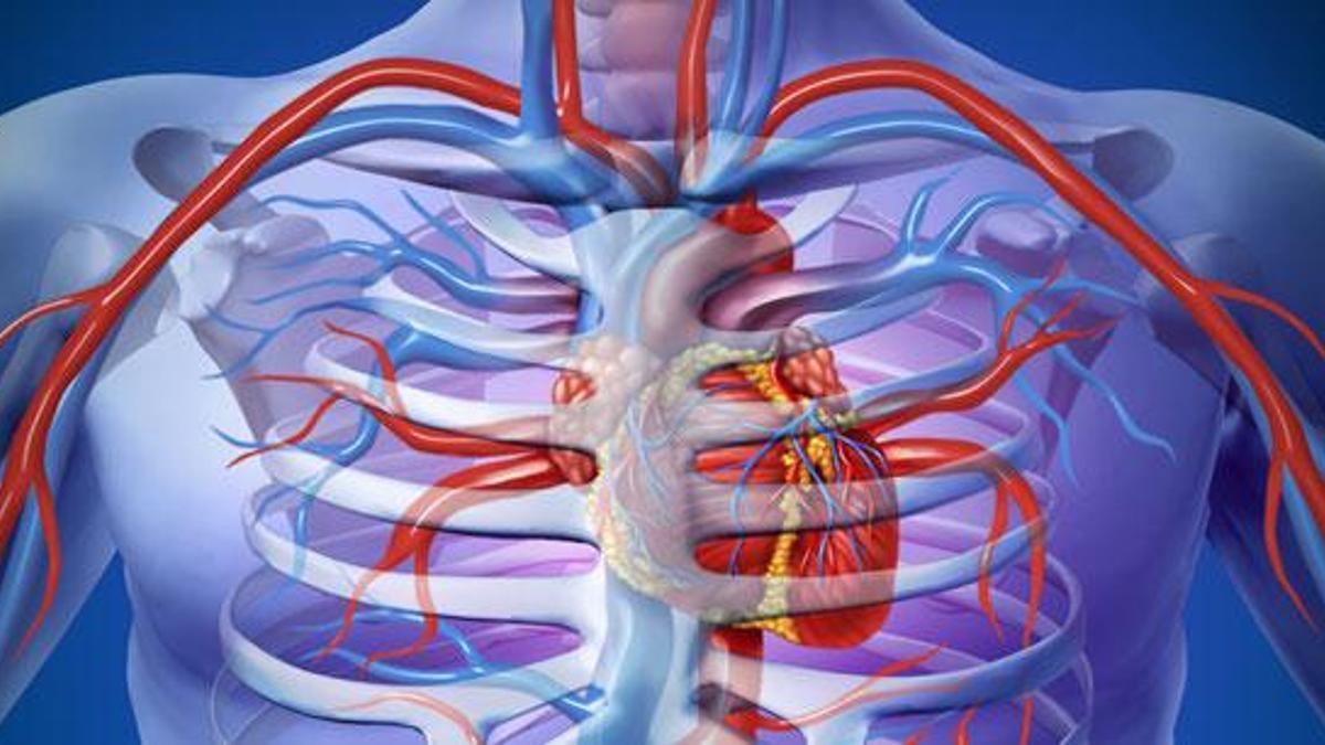 Endokardit nedir, nasıl tedavi edilir? - Sağlık Haberleri