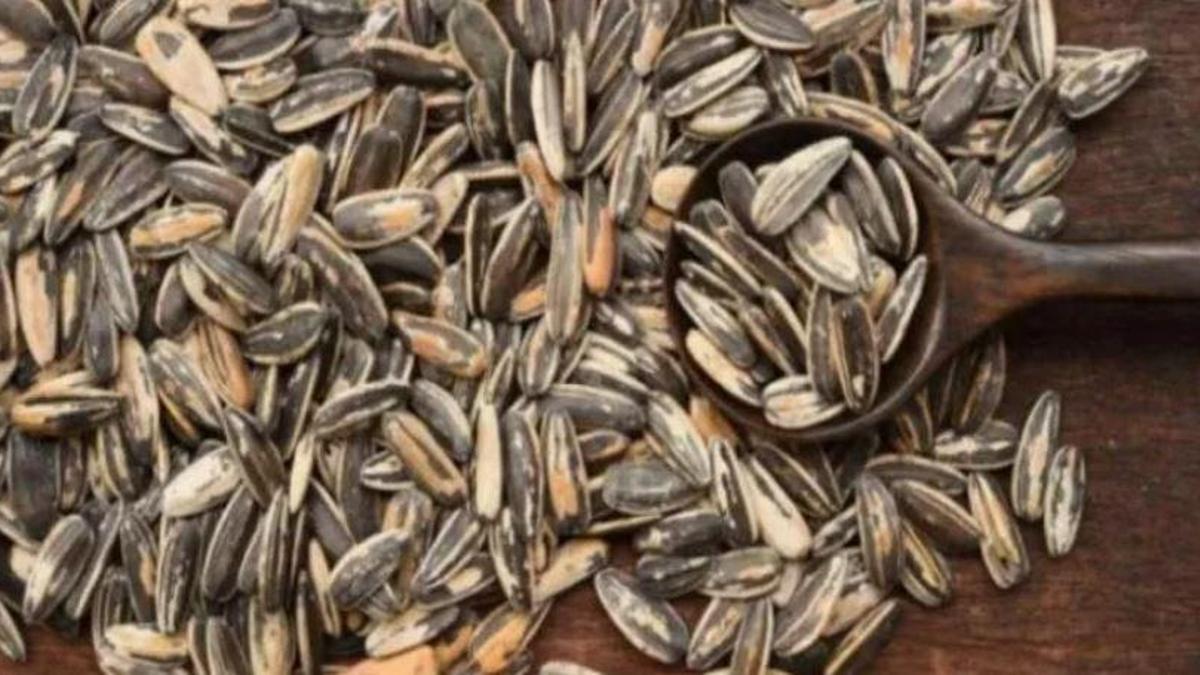 Çekirdek depresyona iyi geliyor! - Sağlık Haberleri