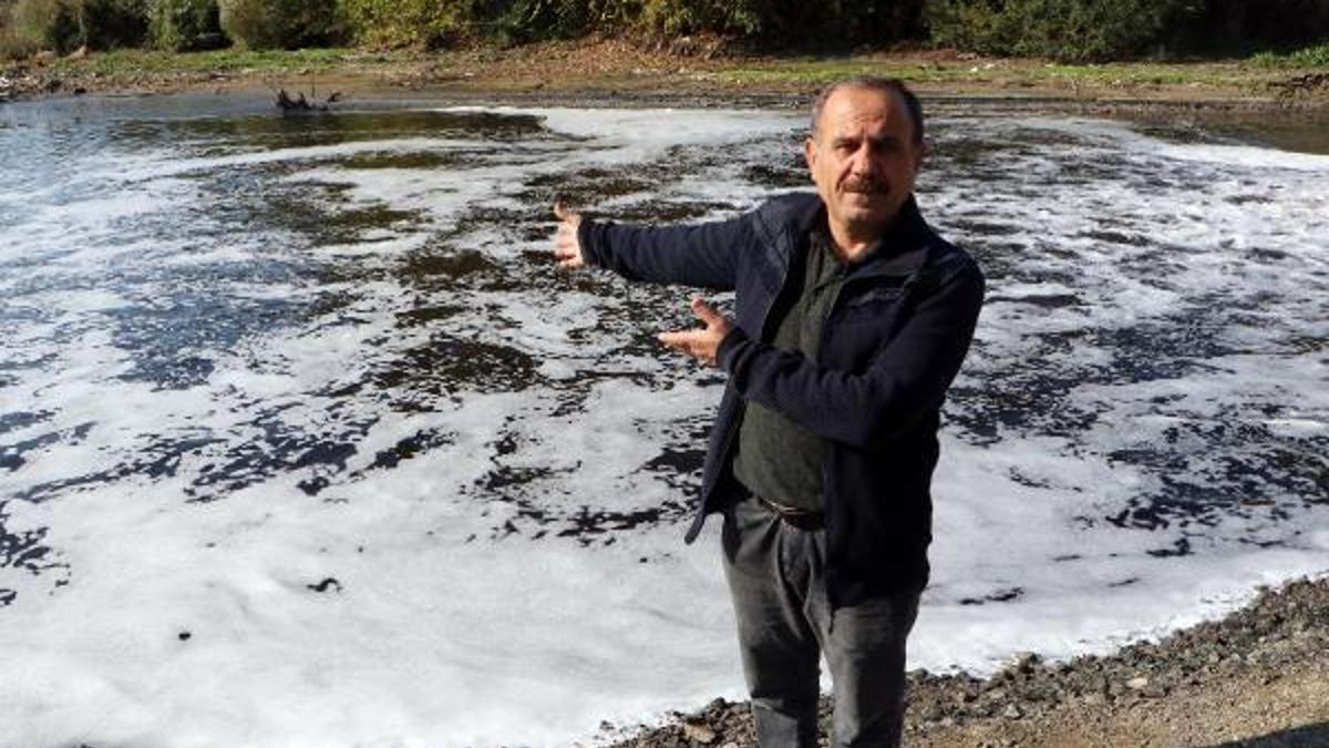 Nehre dökülen kimyasal atıklar, binlerce arı ve balığı öldürdü - | Video