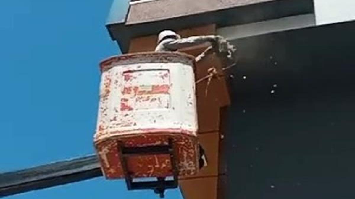 Bingölde binanın birinci katında ayağına ip dolanan karga kurtarıldı ...