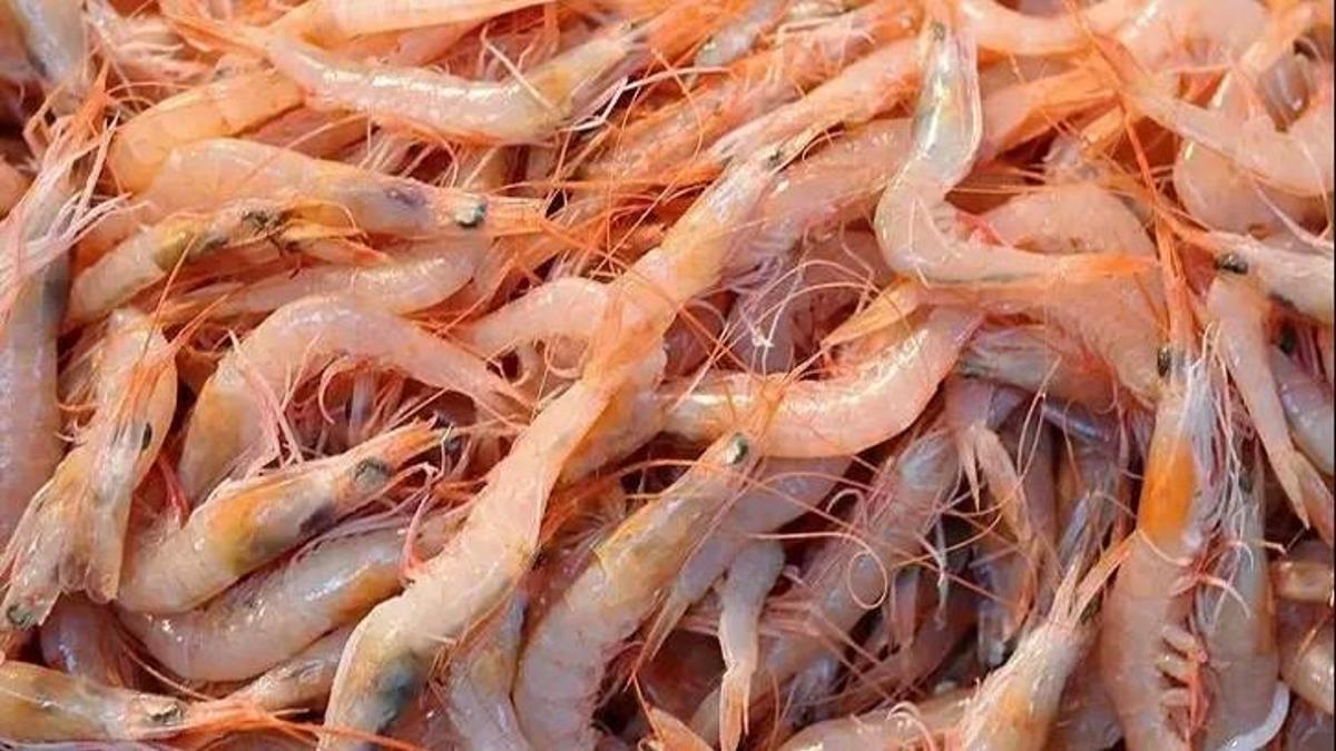 Karides ne zaman ve nasıl yenir? - Sağlık Haberleri