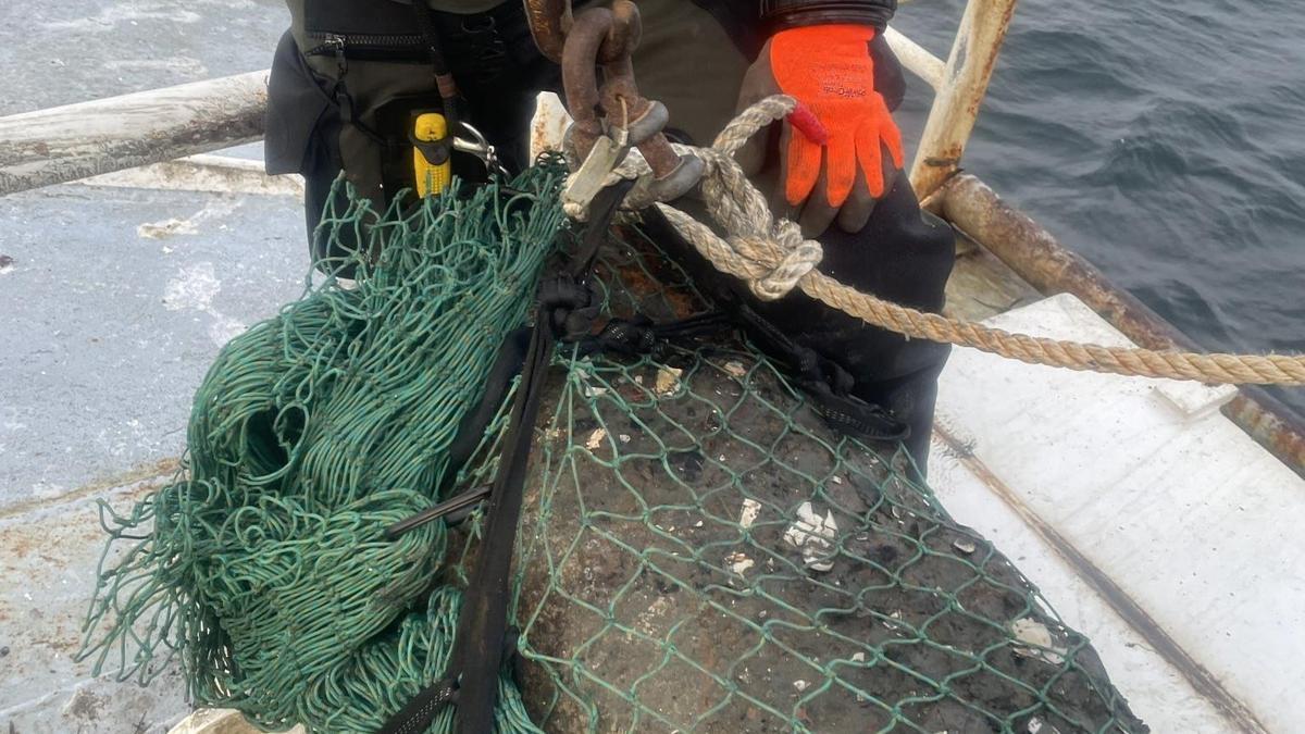 Yer Danimarka... Ağı çeken balıkçı, 130 kilogram ağırlığındaki bomba ...