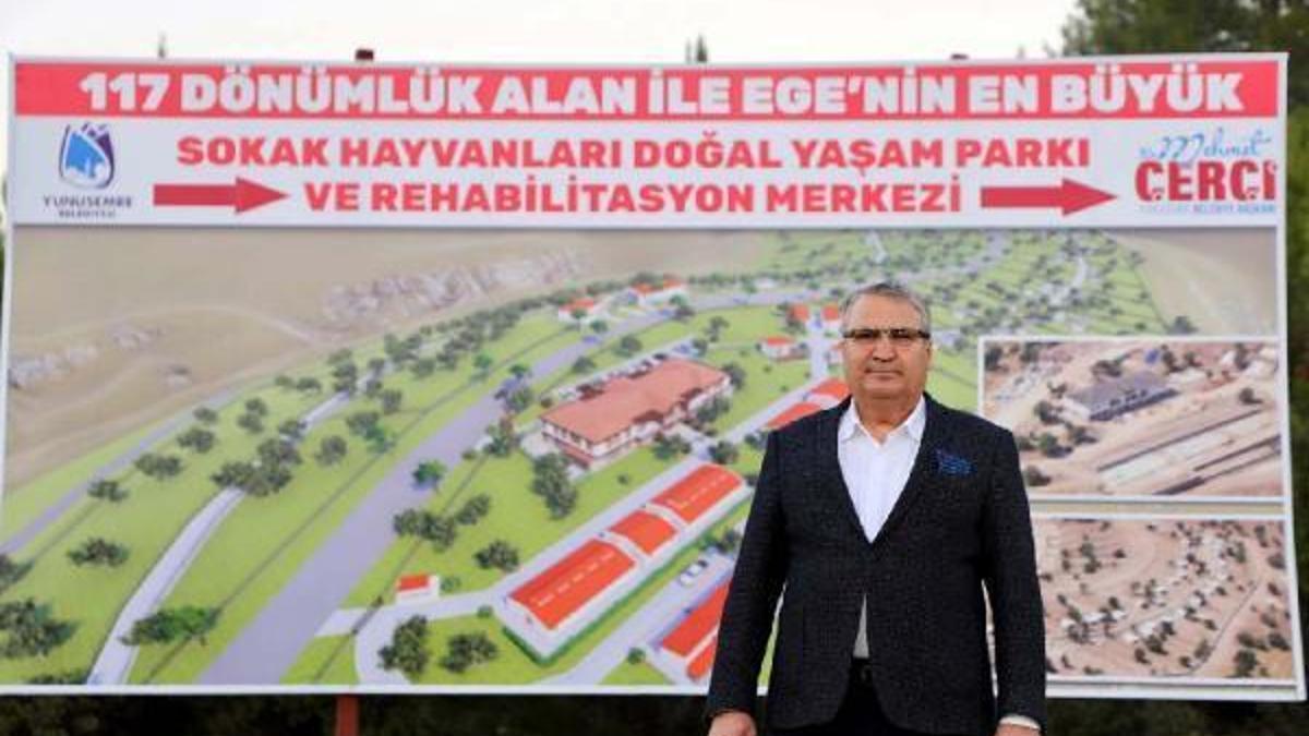 Başkan Çerçi sokak hayvanları için yapılan projeyi inceledi - Manisa Haber