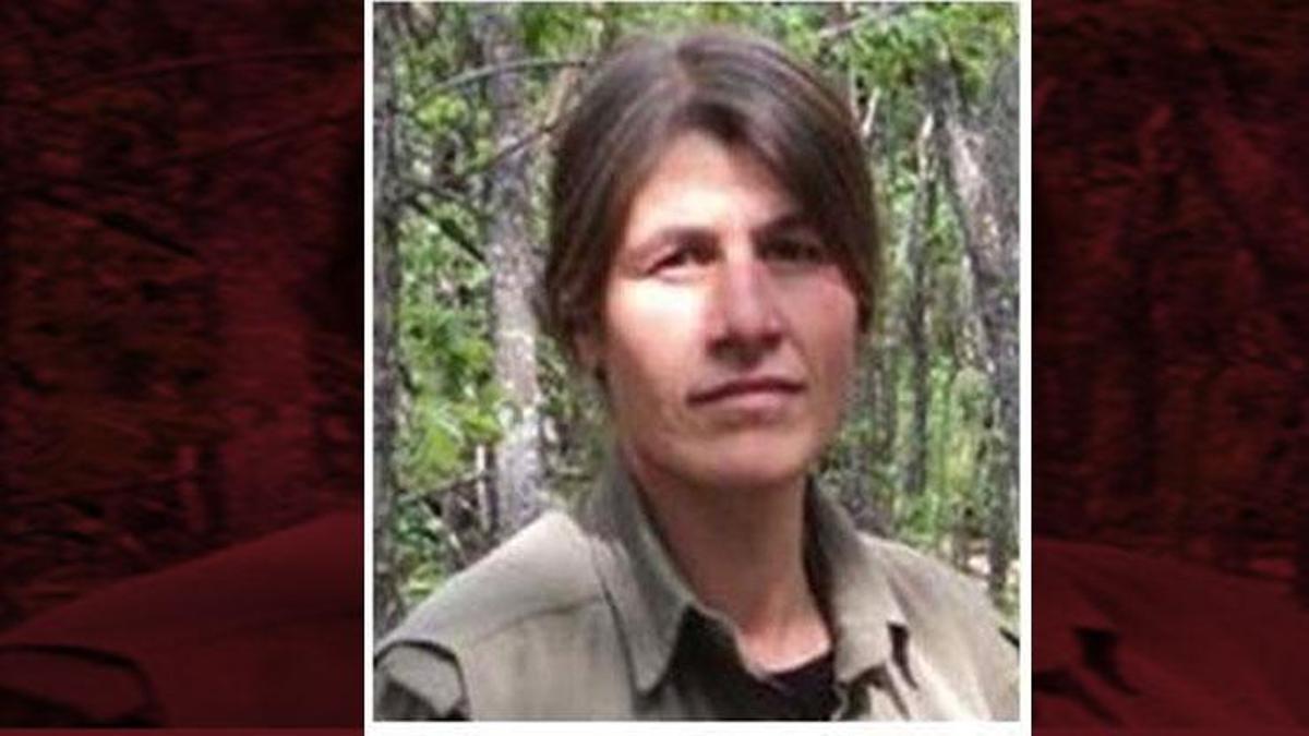 MİT'ten Metina'da nokta operasyon! Sözde sorumlu terörist etkisiz - Son ...