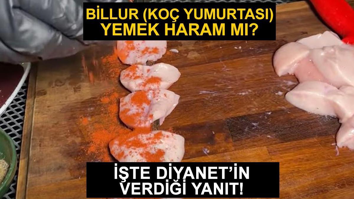 Billur haram mı? Koç yumurtası yemek haram mı? İşte Diyanetin yanıtı ...