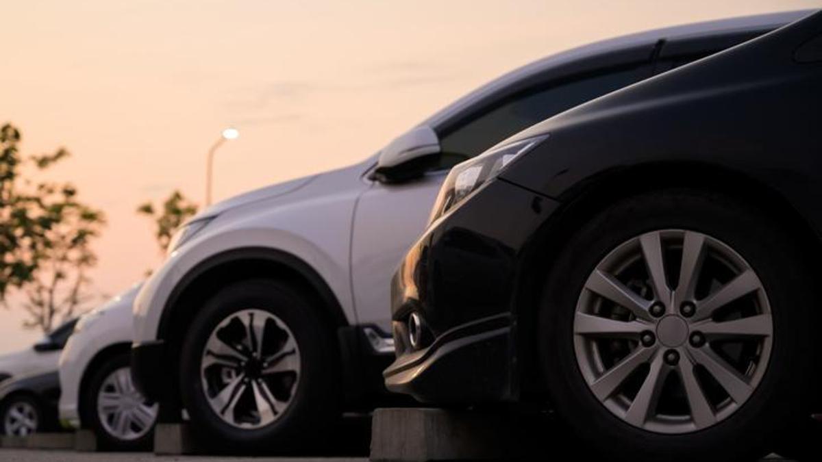 62 Plaka Neresi? 62 Hangi Şehrin Plakası? 62 Hangi İlin Plaka Kodu ...