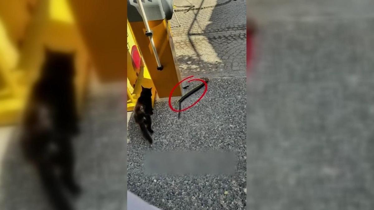 Kablo Haberleri - Son Dakika Yeni Kablo Gelişmeleri