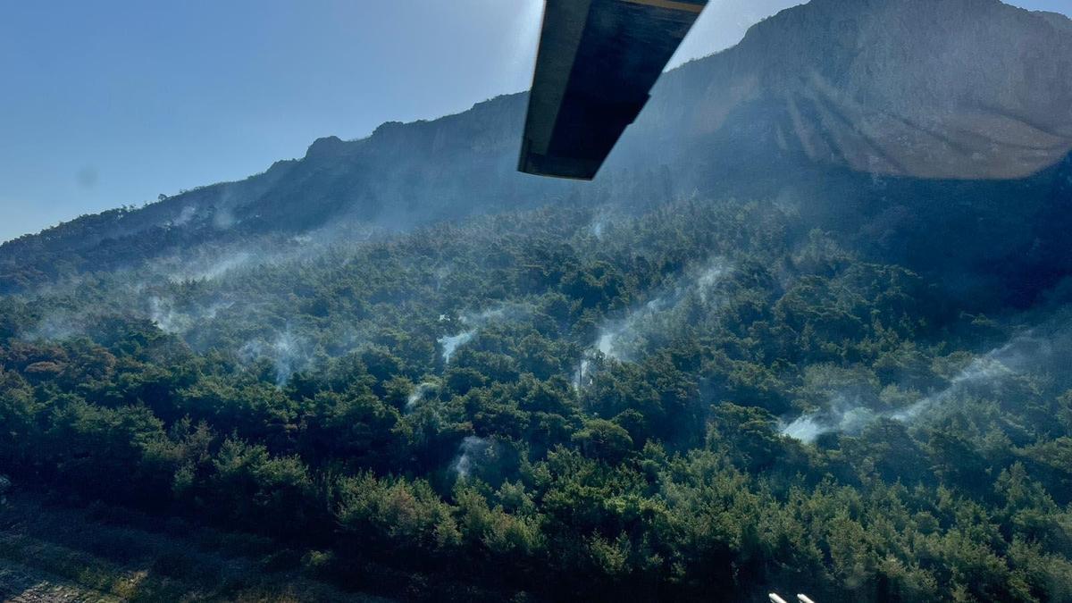 İzmir'deki orman yangını 73 saat sonra kontrol altında - Günün Haberleri