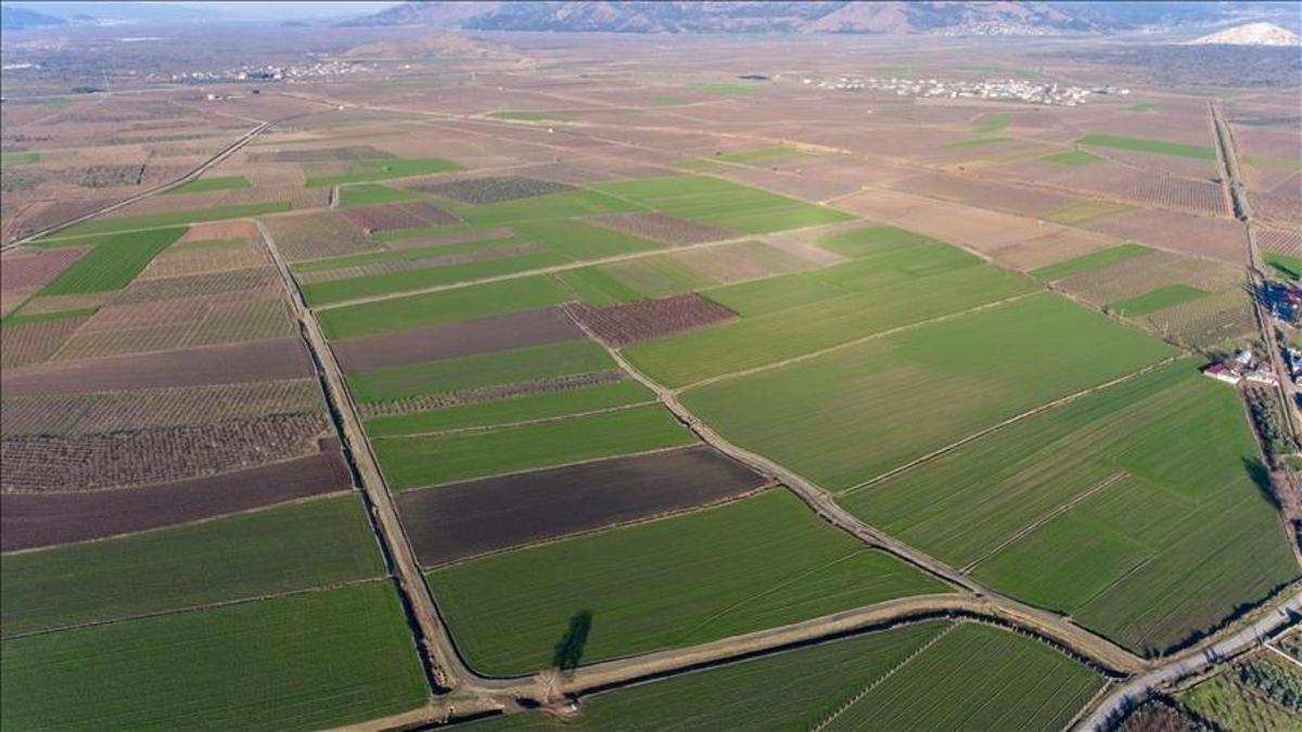 Doğanın Mirası: Amik Ovası Ve Özellikleri - En Son Haberler