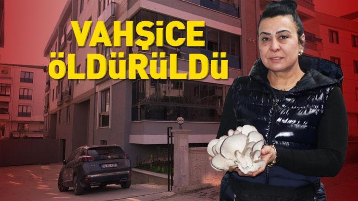 SON DAKİKA Yalova... Korkunç olay! Vahşice öldürüldü: Domuz bağı ...