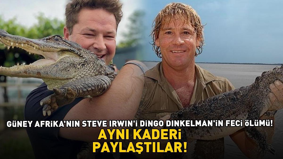Güney Afrika'nın Steve Irwin'i Dingo Dinkelman'in feci ölümü! AYNI ...