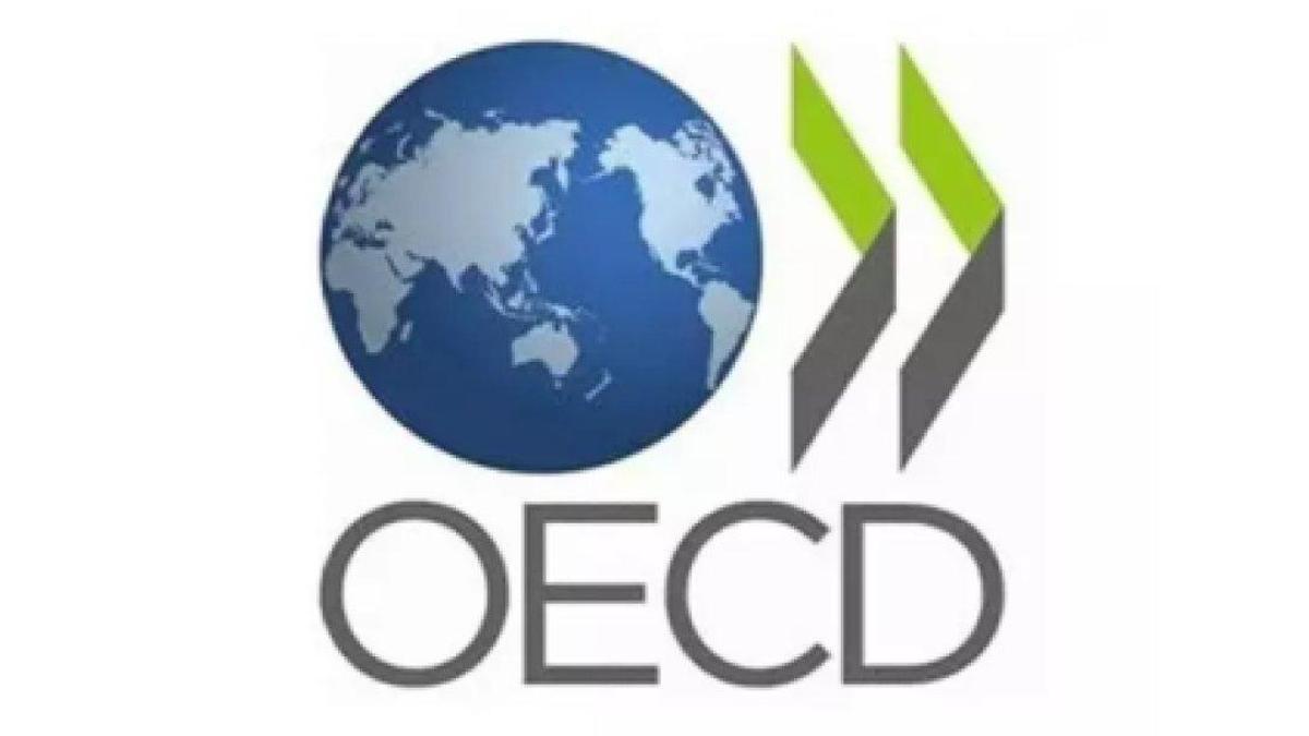 OECD, Türkiye için büyüme ve enflasyon tahminini açıkladı - Ekonomi ...