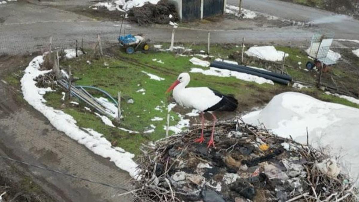 Simge Haberleri - Son Dakika Yeni Simge Gelişmeleri