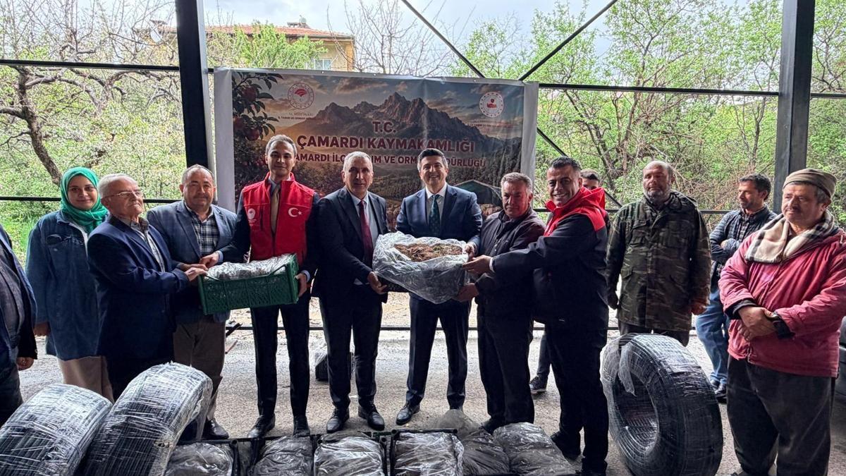 Çilek üreticilerine fide desteği - Merkez Haber