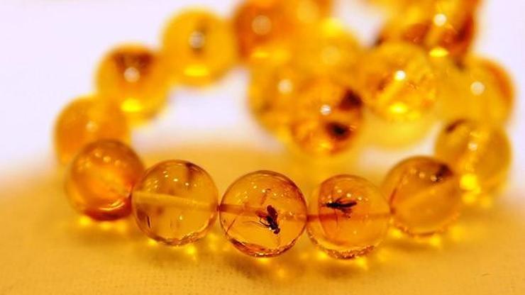 Fosilli tespihe özel koruma