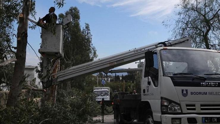 Bodrumda bahar bakımı - CNN Türk Sondakika Haberler
