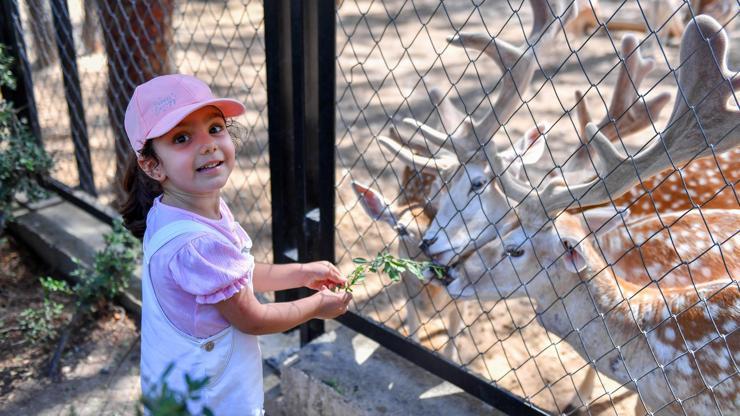 Bayram tatilinde yine en çok Tarsus Doğa Parkı tercih edildi - Tarsus Haber