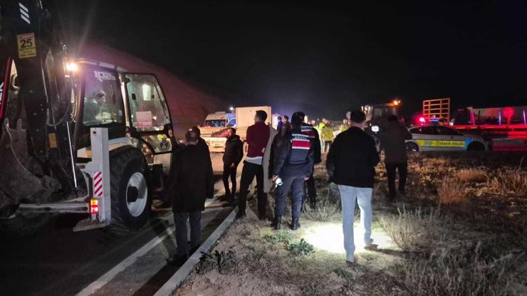 Malatya'da milyonluk yarış tayları çiftlikten kaçtı; 8'i öldü, bazıları ...
